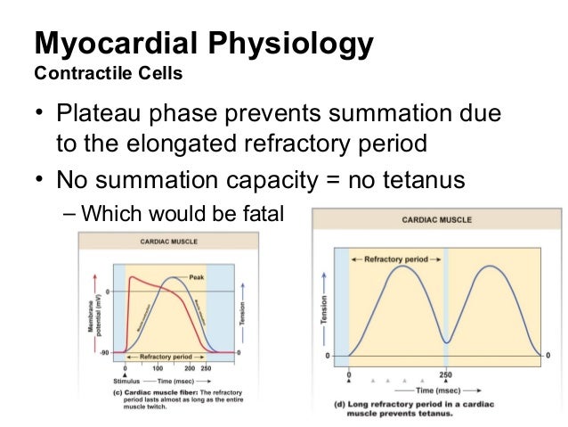 Cardiovascular physiology