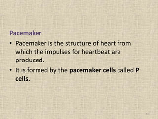 Cardiovascular physiology | PPTX