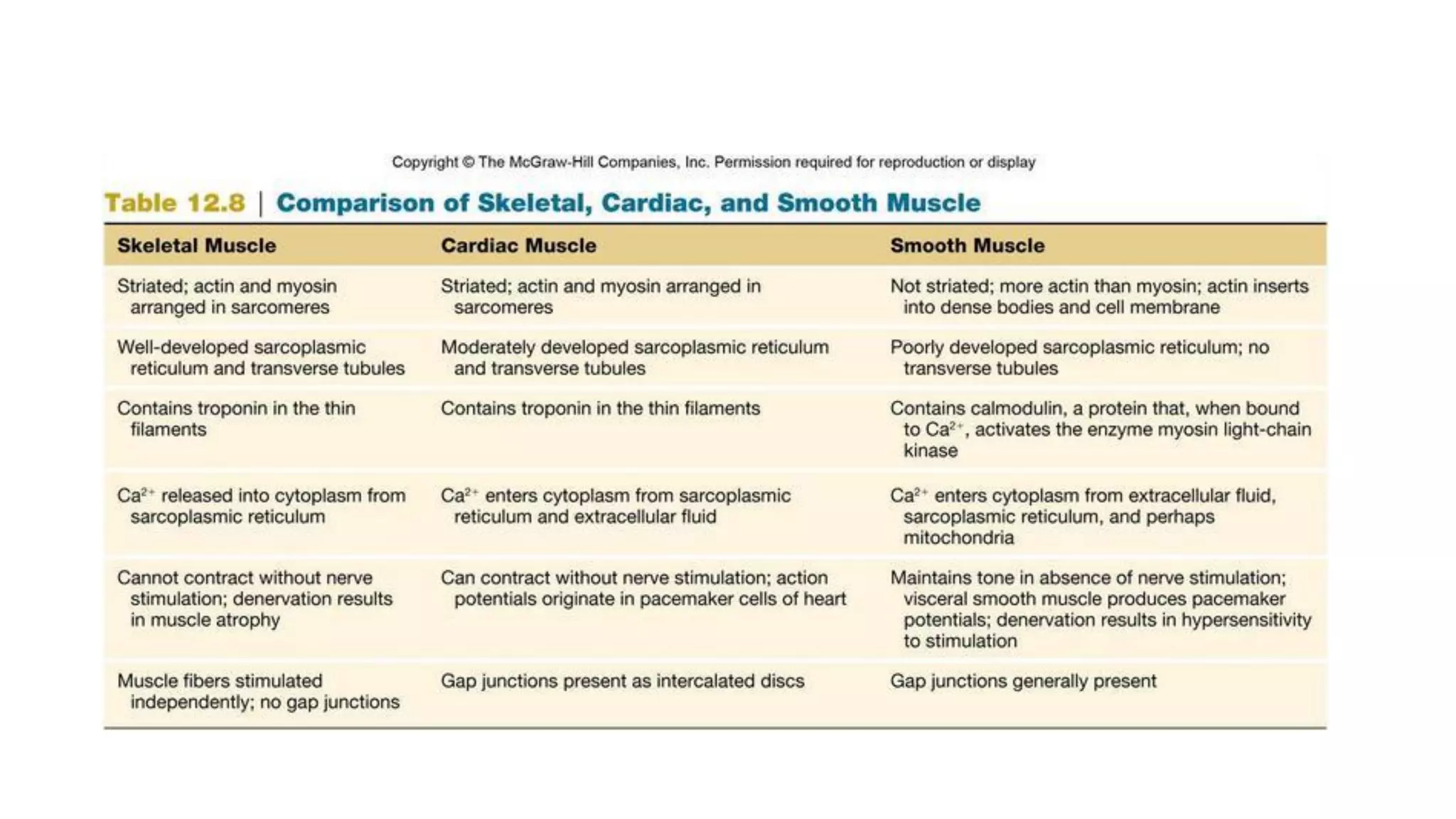 Cardiovascular physiology REVISION NOTES | PDF