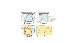 Cardiovascular physiology REVISION NOTES | PDF