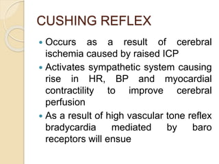 cardiovascular physiology.pptx