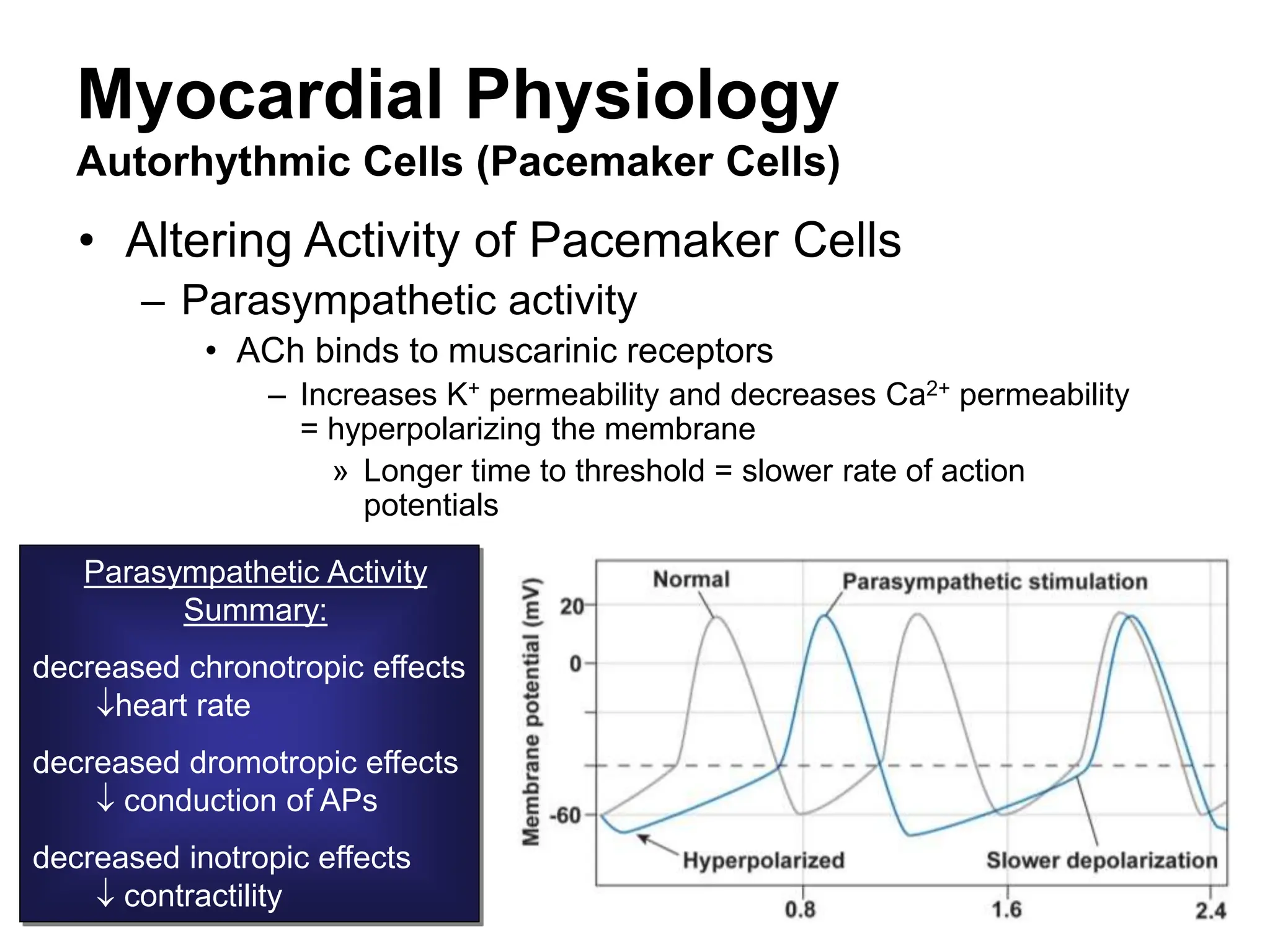 Cardiovascular Physiology - Structure of Heart.ppt