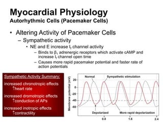 Cardiovascular Physiology - Structure of Heart.ppt | Heart and ...