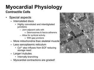 Cardiovascular Physiology - Structure of Heart.ppt