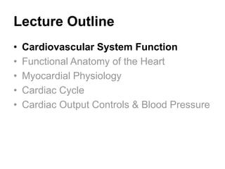 Cardiovascular Physiology - Structure of Heart.ppt | Heart and ...