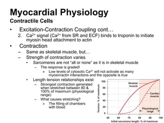 Cardiovascular Physiology - Structure of Heart.ppt