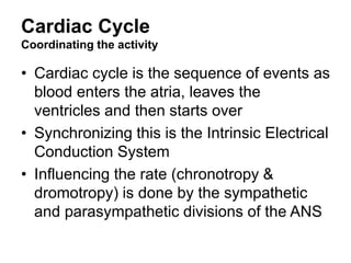 Cardiovascular Physiology - Structure of Heart.ppt | Heart and ...