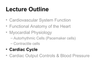 Cardiovascular physiology (1) | PPT