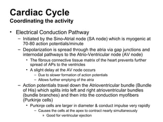 Cardiovascular physiology (1) | PPT