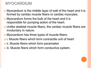 cardiovascular physiology 12.pptx