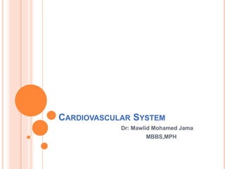 cardiovascular physiology 12.pptx