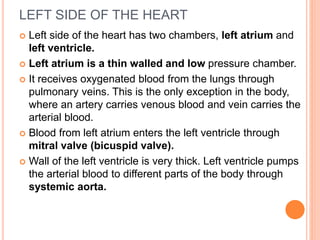 cardiovascular physiology 12.pptx