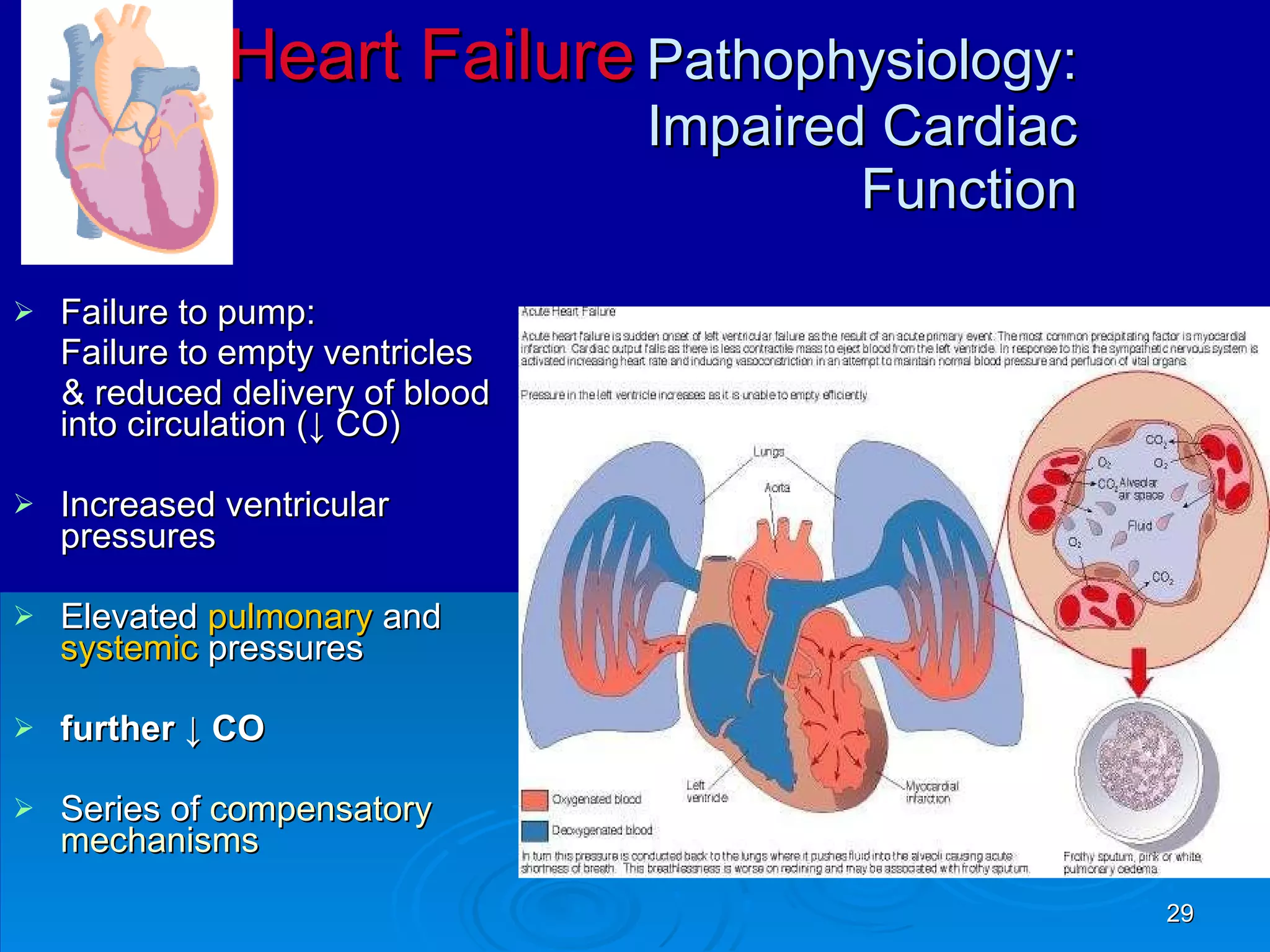 Cardiovascular ppt. fall 08 web v1 | PPT