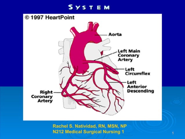 Cardiovascular ppt. fall 08 web v1 | PPT | Heart and Cardiovascular ...