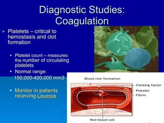 Cardiovascular ppt. fall 08 web v1 | PPT