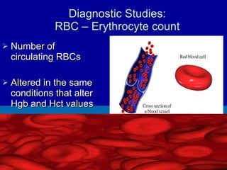 Cardiovascular ppt. fall 08 web v1 | PPT