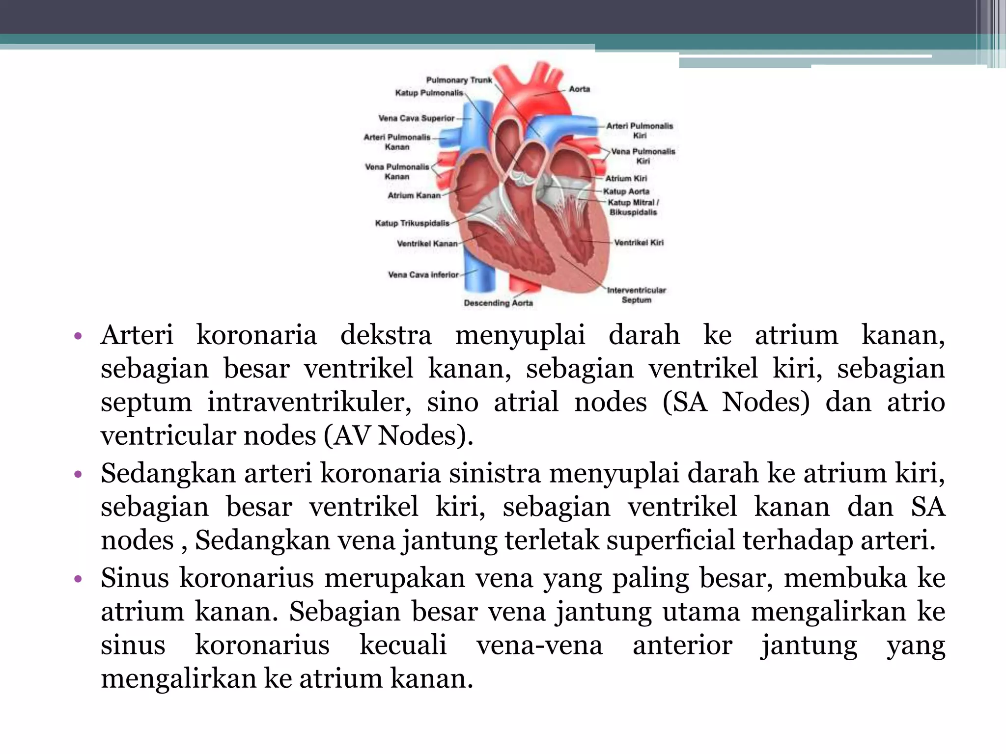 CARDIOVASCULAR & RESPIRATORY FUNCTION.pptx