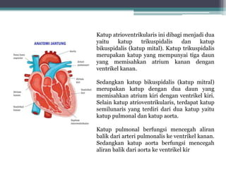 CARDIOVASCULAR & RESPIRATORY FUNCTION.pptx
