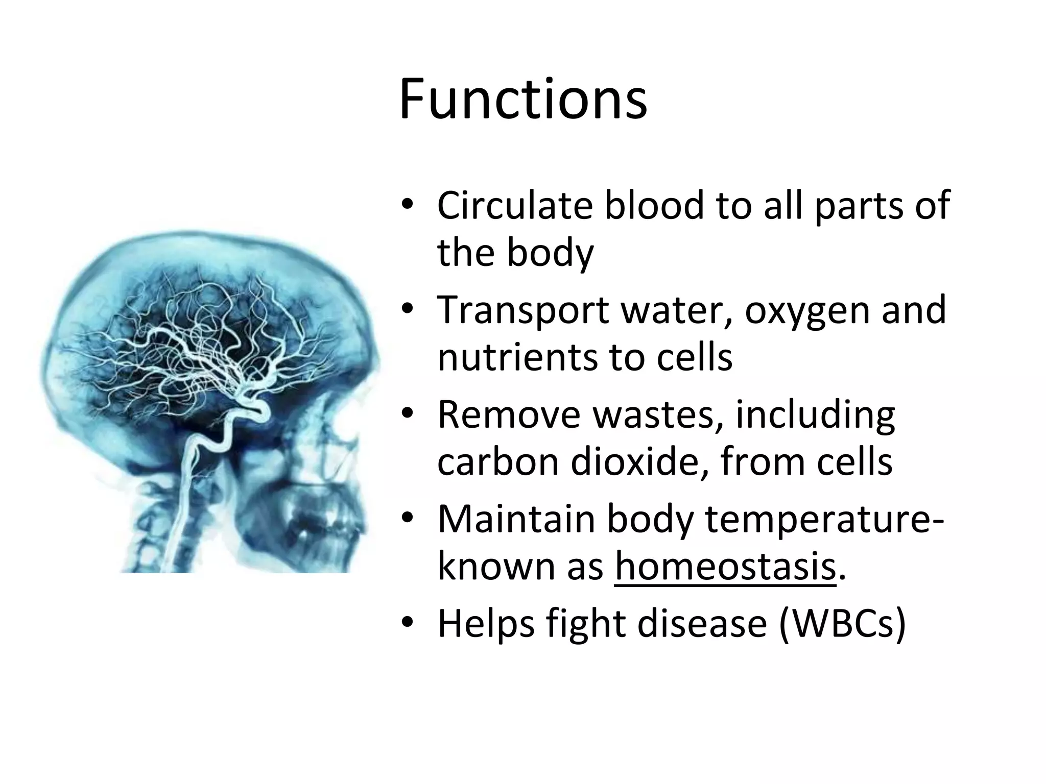 Cardiovascular and Respiratory System | PPTX