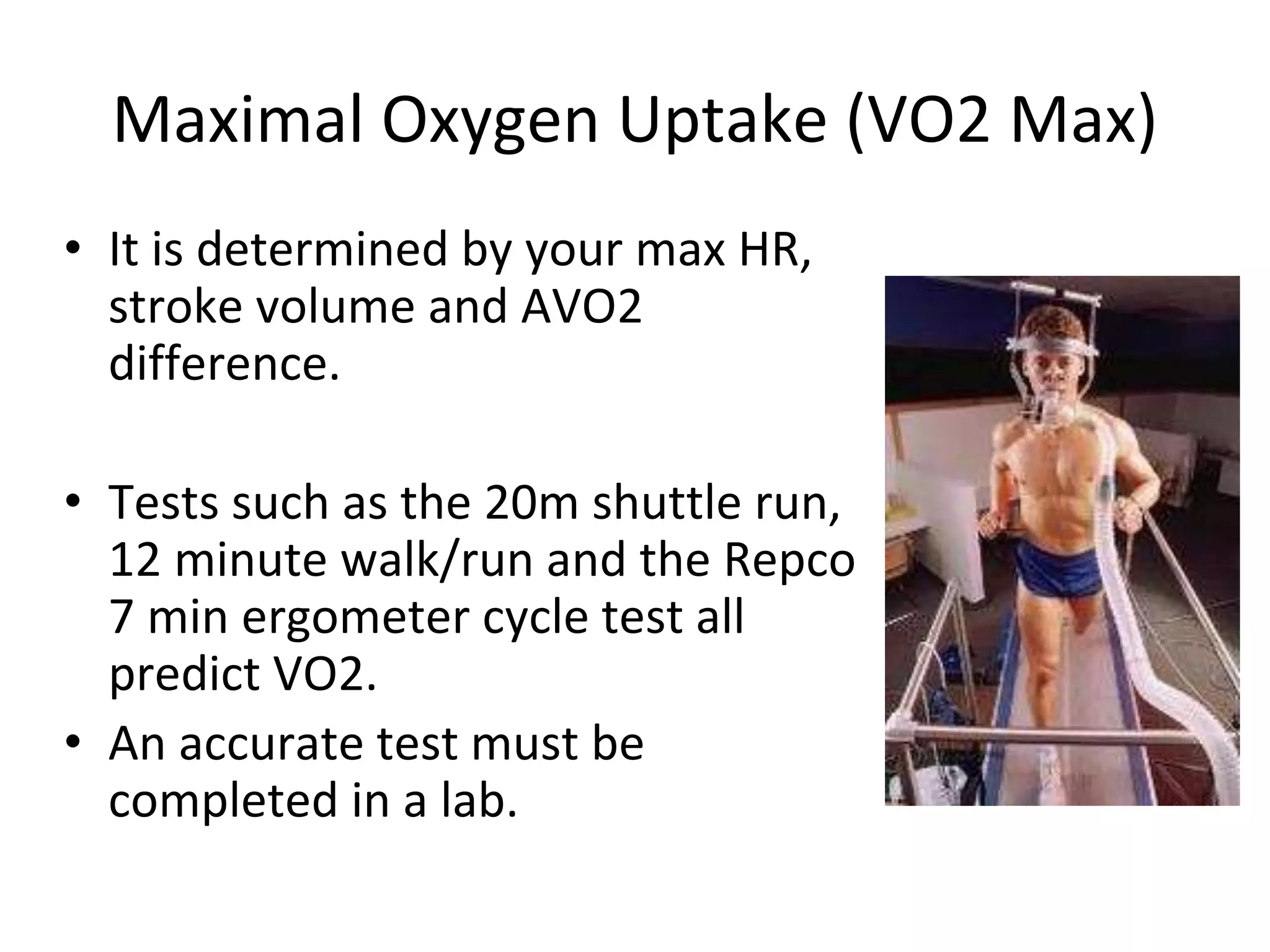Cardiovascular and Respiratory System | PPTX