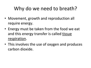 Cardiovascular and Respiratory System | PPTX