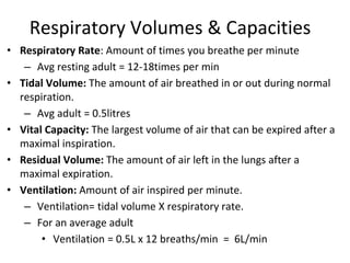 Cardiovascular and Respiratory System | PPTX