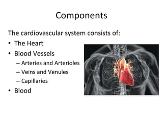 Respiratory Vs Cardiovascular System