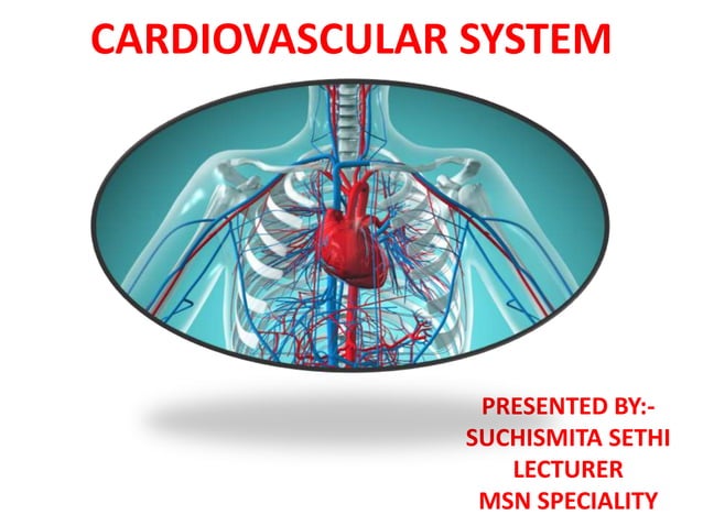 Cardiovascular ststem | PPT