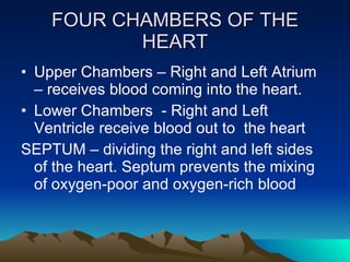 Cardiovascular System | PPT