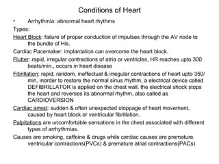 Cardiovascular System | PPT | Heart and Cardiovascular Diseases ...