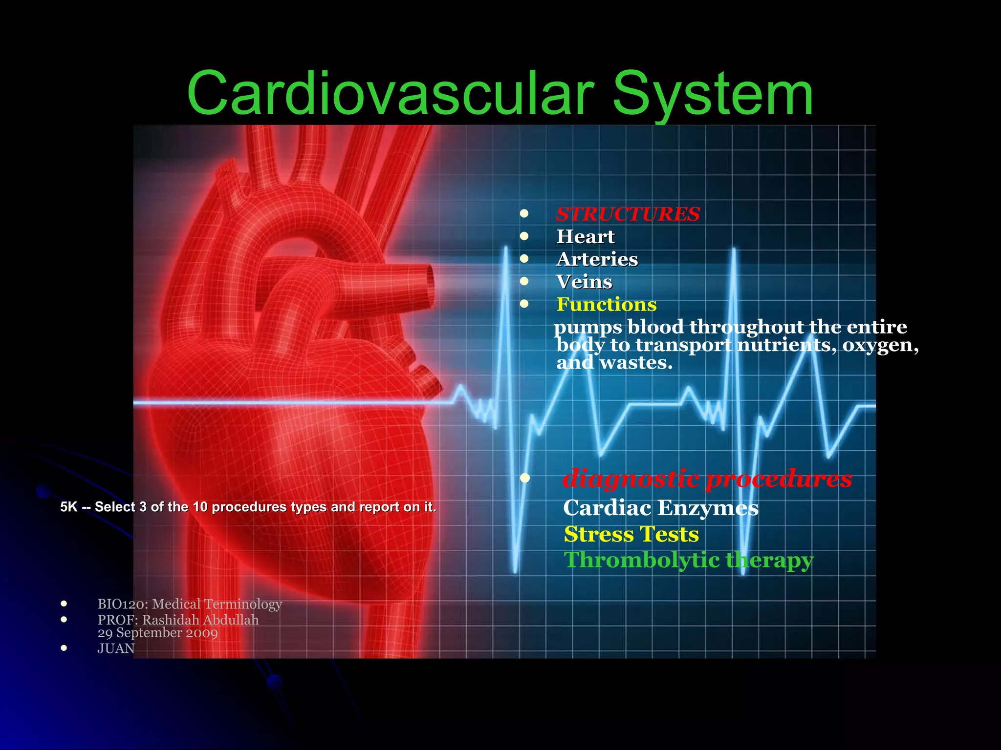 Cardiovascular System | PPT