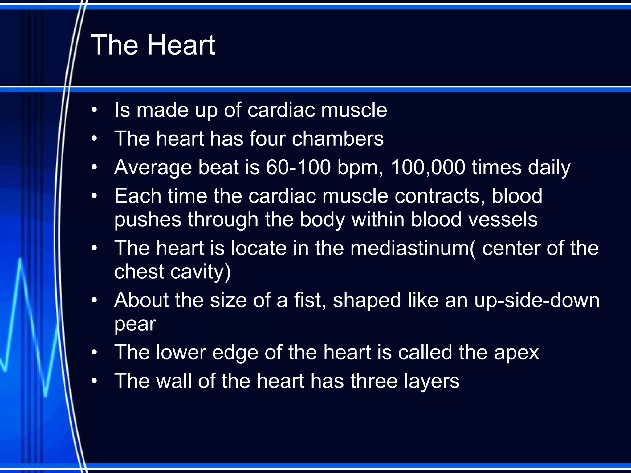 Cardiovascular System | PPT