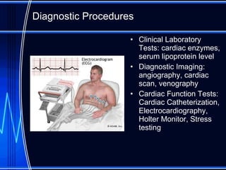 Cardiovascular System | PPT