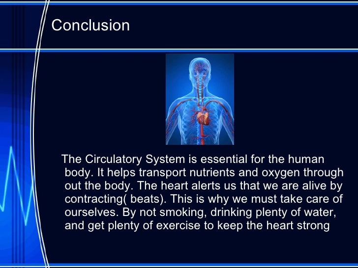 Cardiovascular System