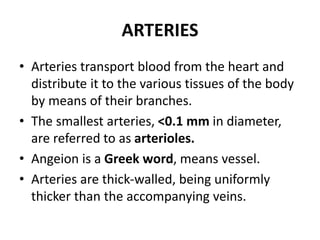 CARDIOVASCULAR SYSTEM-1.pptx