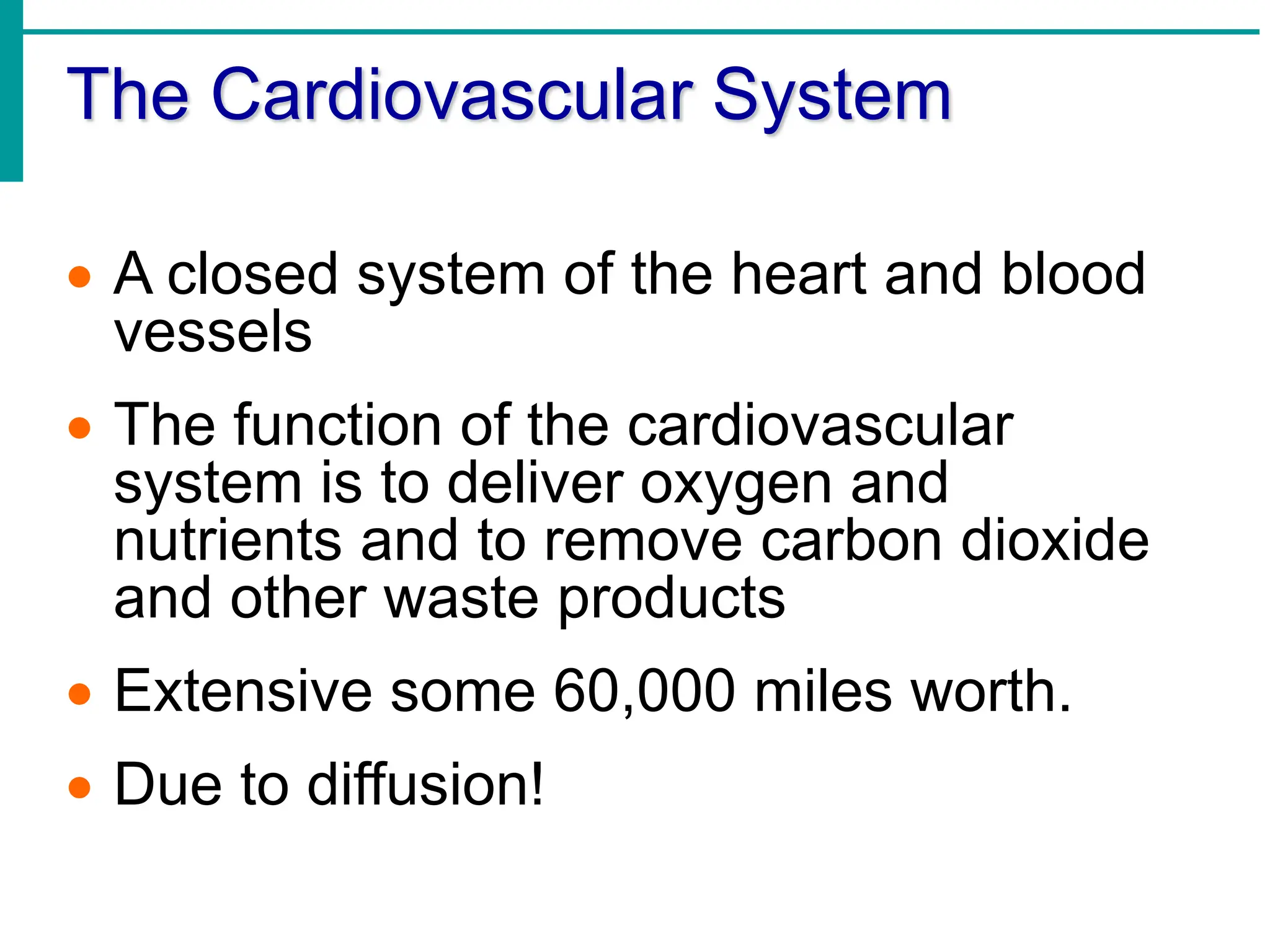Anatomy of the cardiovascular system . | PPT
