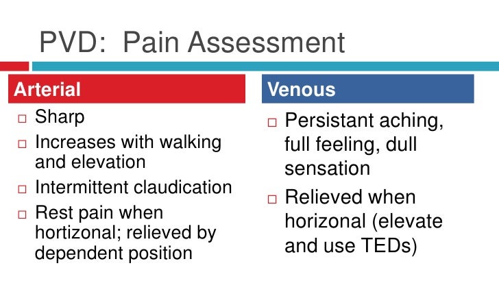 Cardiovascular System