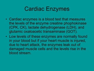 Cardiovascular System | PPT