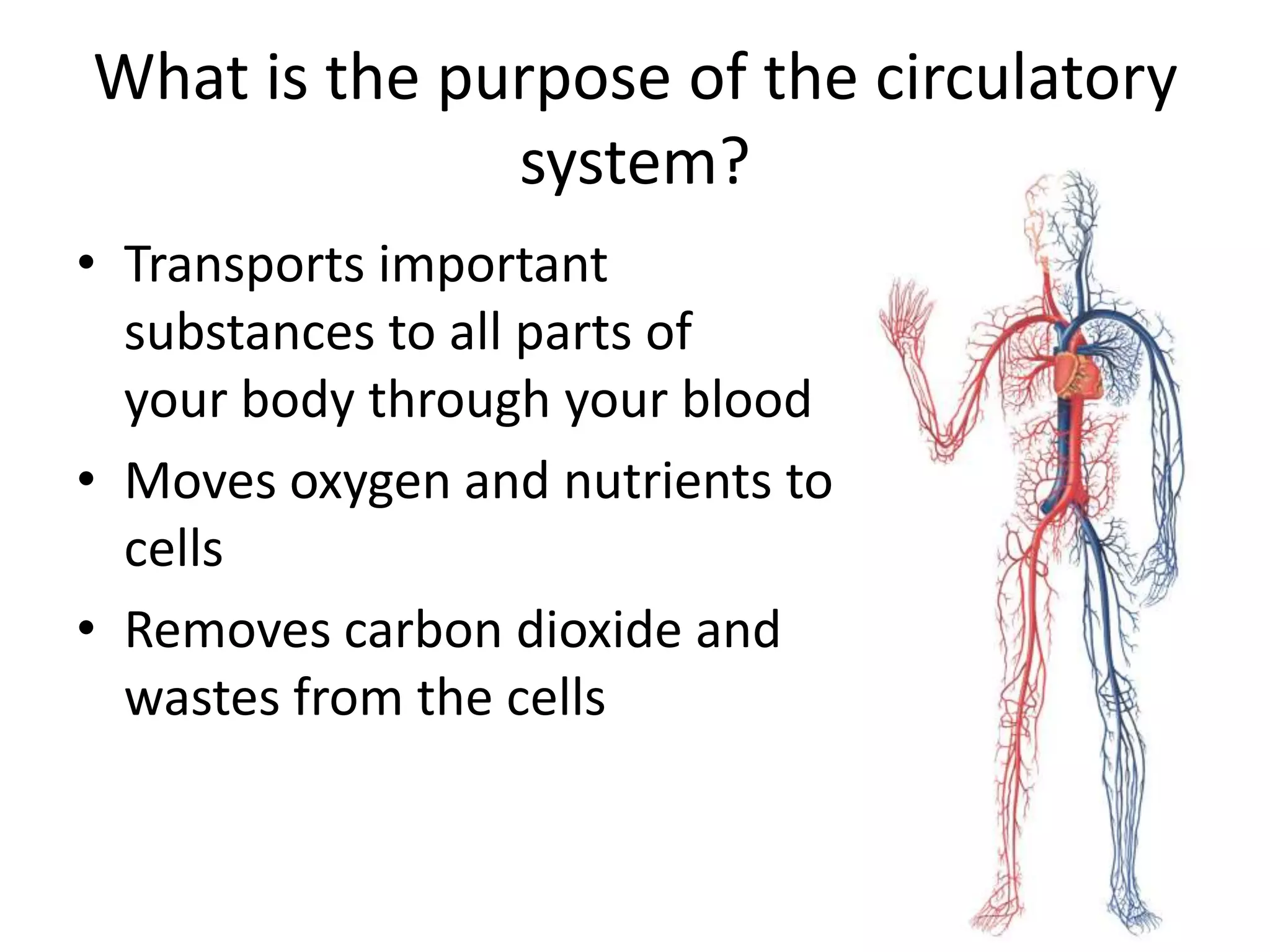 Cardiovascular system | PPTX