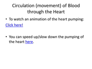 Cardiovascular system | PPT