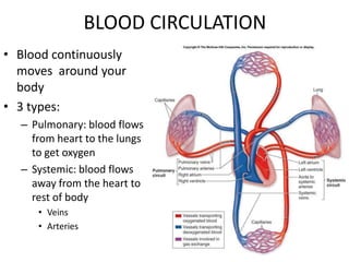 Cardiovascular system | PPT