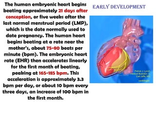 Cardiovascular system | PPT | Heart and Cardiovascular Diseases ...