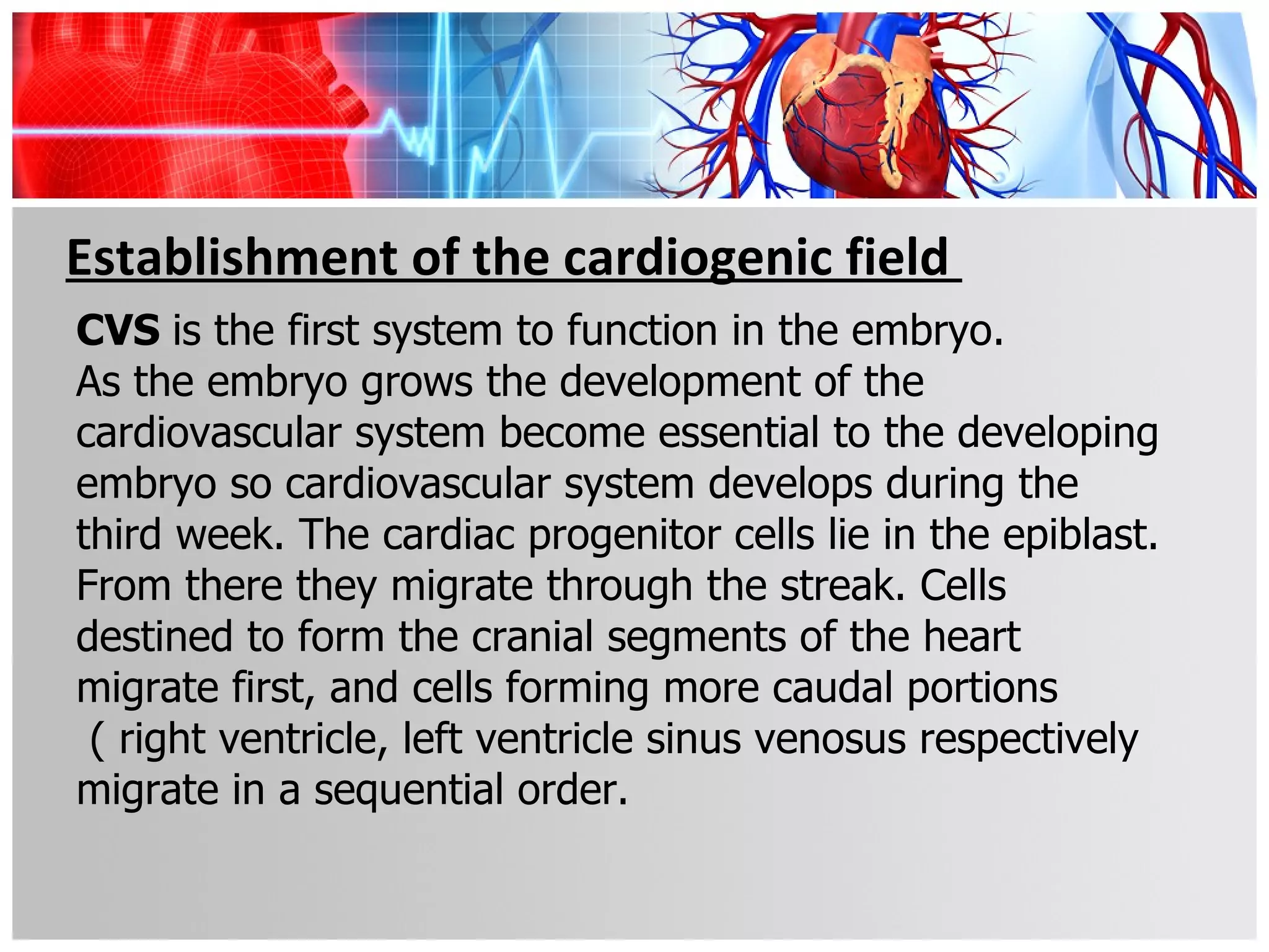 CVS Embryology (Amoud University) | PPT