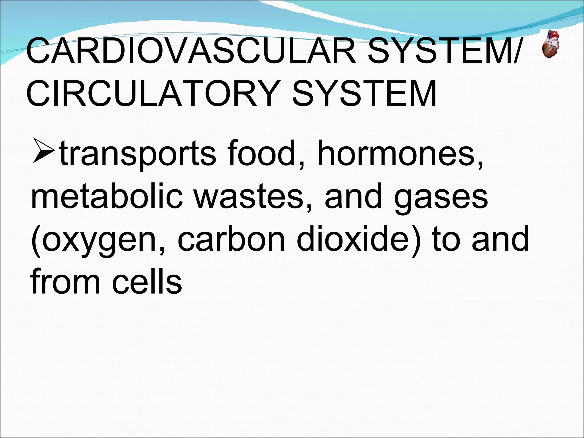 Cardiovascular system | PPT | Heart and Cardiovascular Diseases ...