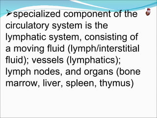 Cardiovascular system | PPT