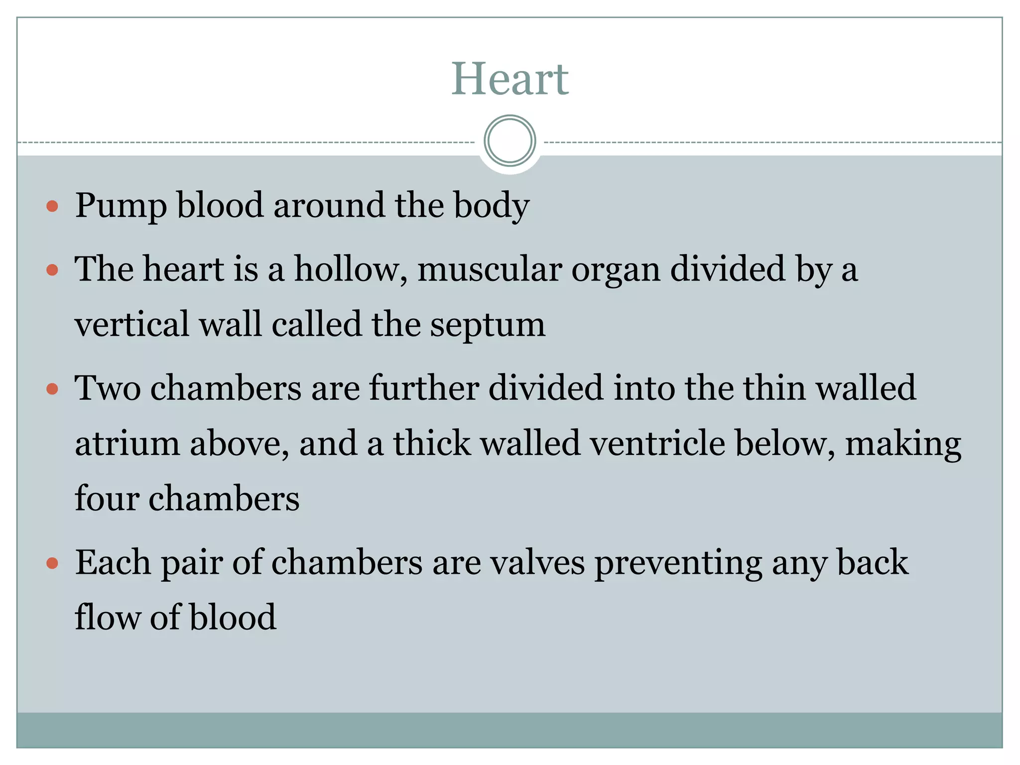 Cardiovascular system | PPTX