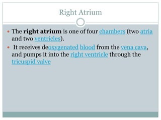 Cardiovascular system | PPT
