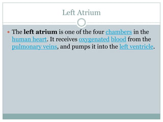 Cardiovascular system | PPT