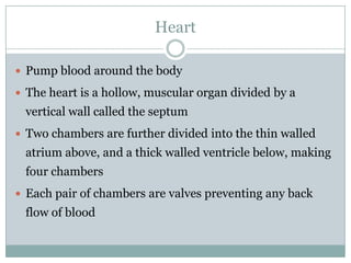 Cardiovascular system | PPT