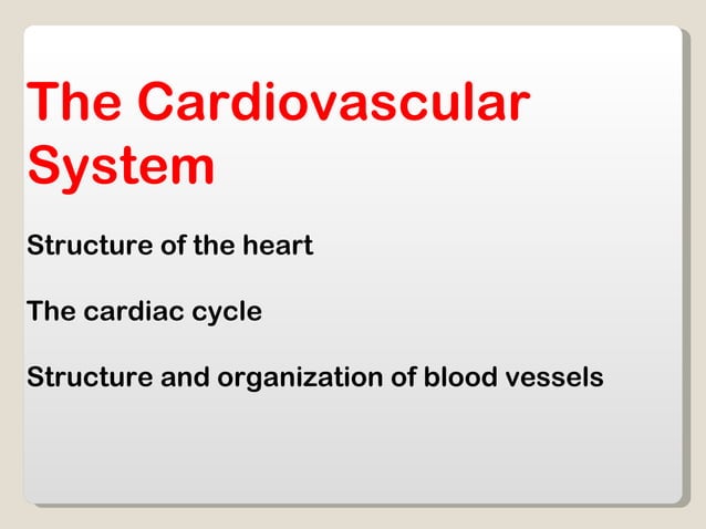 Cardiovascular System | PPT
